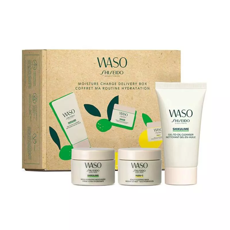 نقد، بررسی و خرید Shiseido Ginza Tokyo Waso Moisture Charge Delivery ...